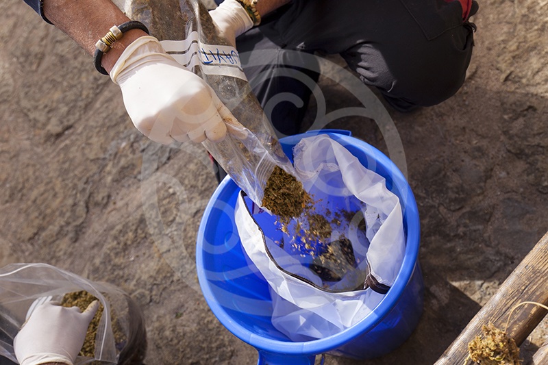 Faire du haschisch Iceolator et Bubble Hash avec de la glace et de l ...