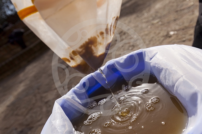 Faire du haschisch Iceolator et Bubble Hash avec de la glace et de l ...