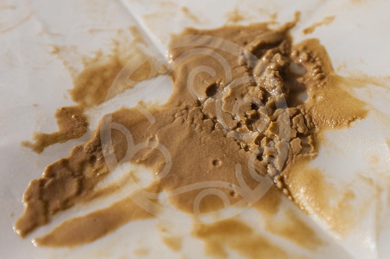 Faire du haschisch Iceolator et Bubble Hash avec de la glace et de l ...