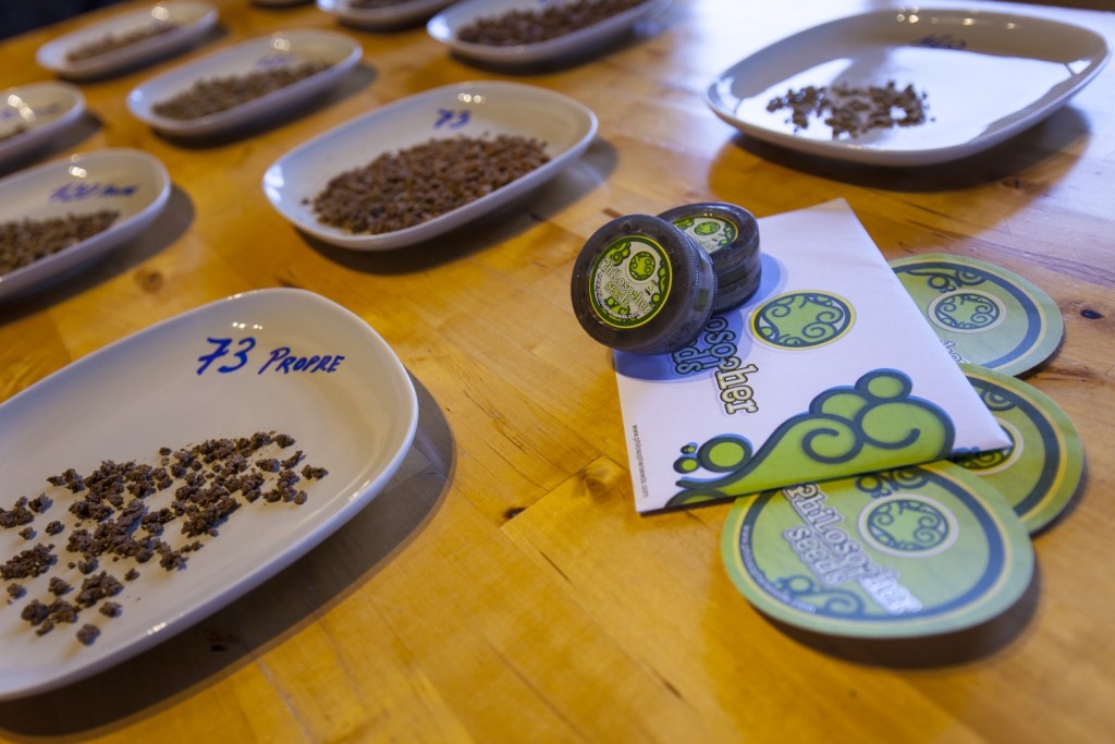 Faire du haschisch Iceolator et Bubble Hash avec de la glace et de l ...