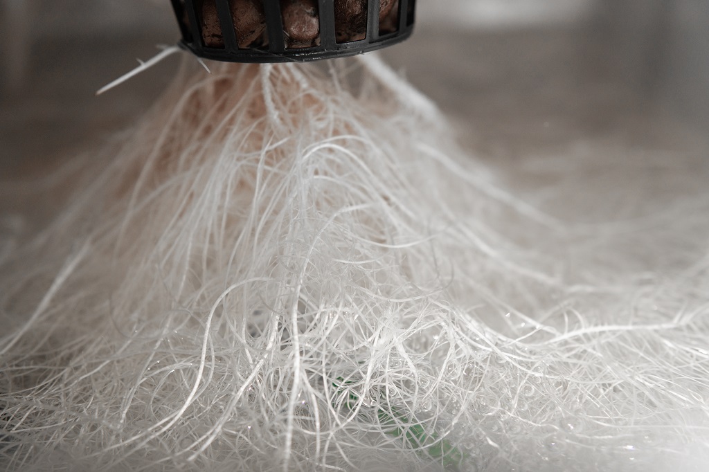 How to make rooting compounds for cannabis- Philosopher Seeds