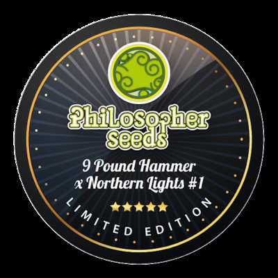 9 Pound Hammer x NL #1