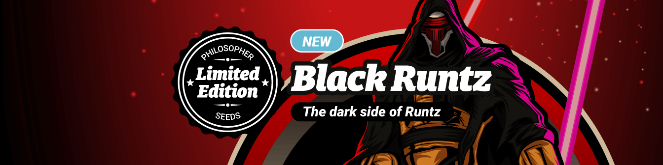 Philosopher Seeds - Sale of cannabis seeds