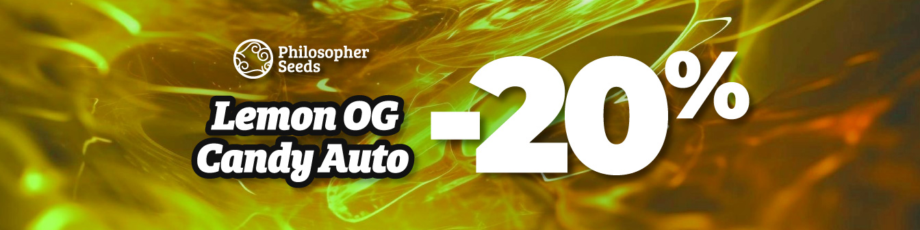 Manifiestaacción 2017- Philosopher Seeds